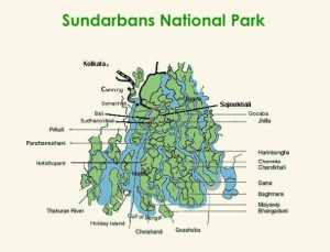 Sundarban National Park Safari Booking Online