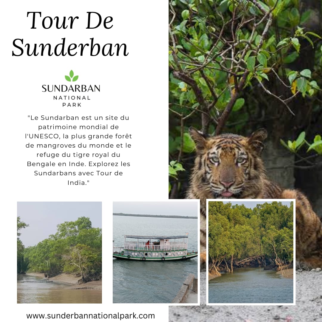 Tour De Sunderbans